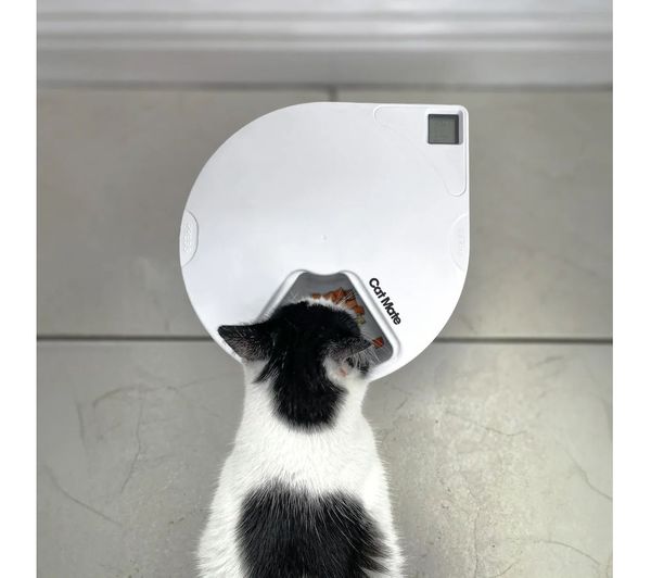 Cat mate c500 store