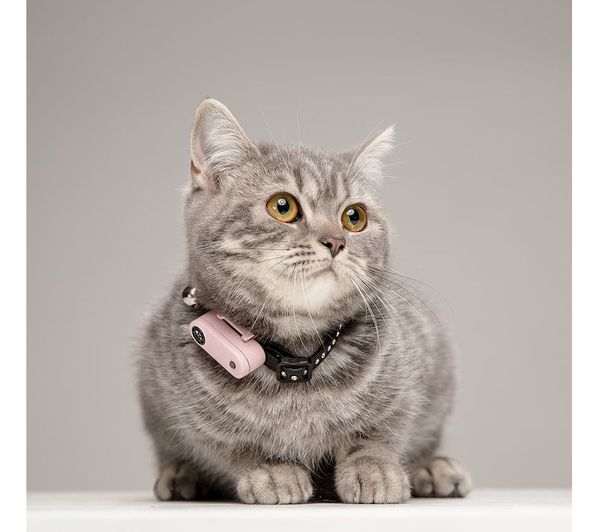 TICKLESS Mini Cat Rechargeable Ultrasonic Tick & Flea Repeller - Black ...